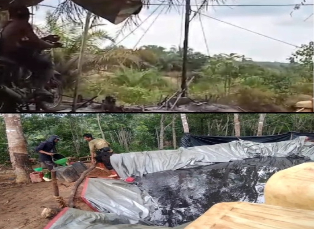 Waw..!! Fee Tanah 100 Ribu per-Drum di Lokasi illegal Driling Senami ...